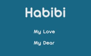 The Arabic Word Habibi: Meaning and How to Use It - Piqora.com